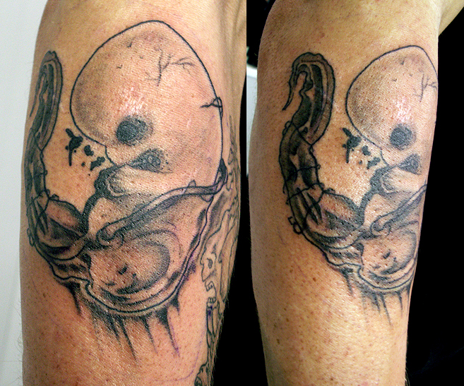 Dead Fetus Tattoos 10 Weeks Baby Fetus, Stage Of Fetal Development