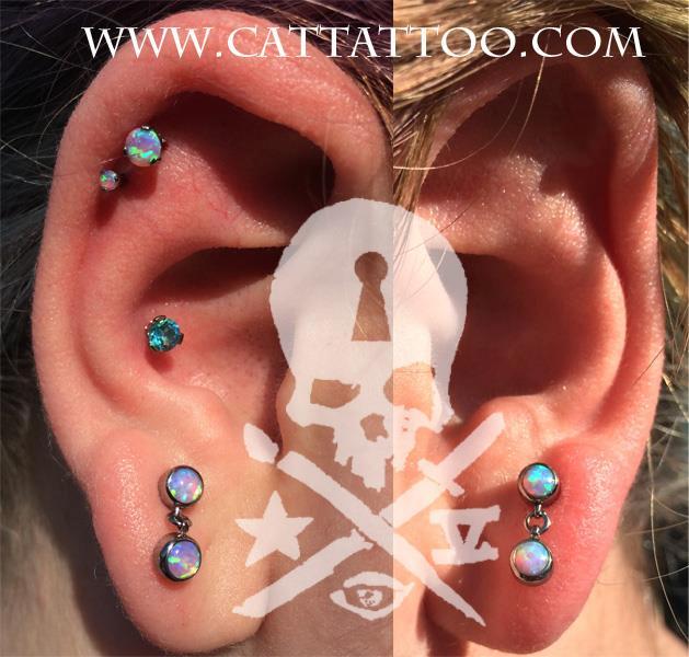 Cat Tattoo : Body Piercing : Ear : Double cartilage, Conch, Lobes/IS